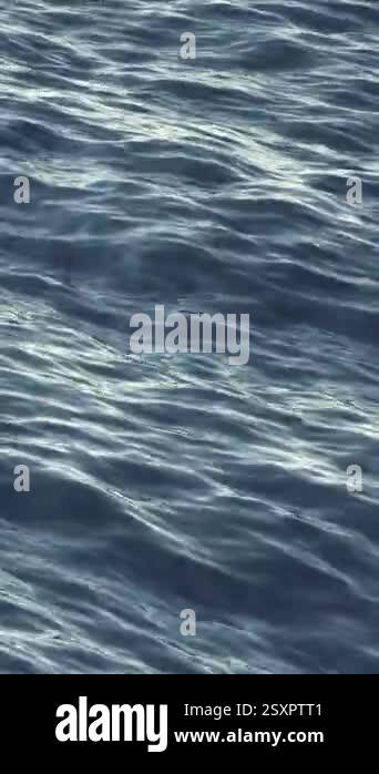 3D Animation - Looping ocean waves texture at sunset in vertical format ...