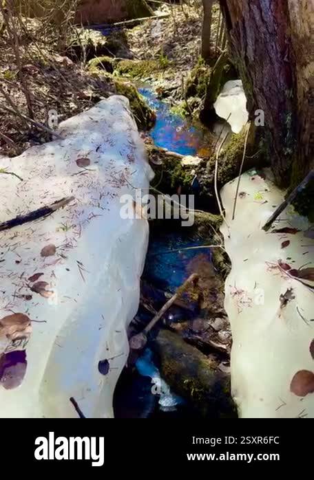 melting ice in the forest, a stream breaks through the snow remnants ...