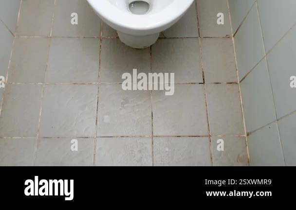 Cleaning a Toilet: A Step-by-Step Guide to Sanitizing and Maintaining a ...