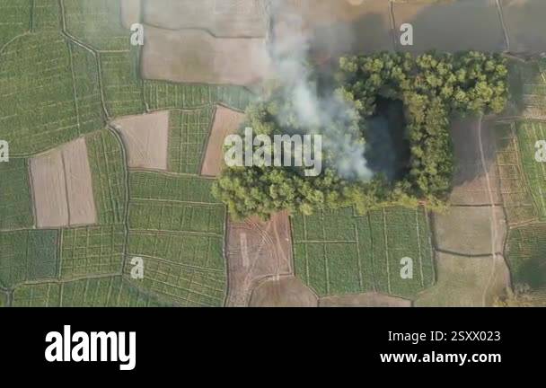Drone view of a hidden forest fire, dark smoke billowing over green ...