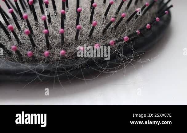 black plastic comb with pink tips on the teeth, tangled in fallen hair ...
