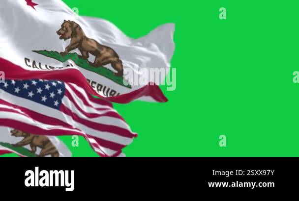 California state flags and the American flag waving isolated on green ...