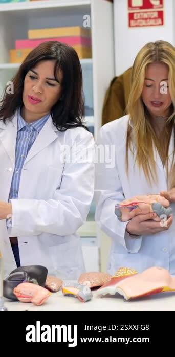 Medical students studying human anatomy with detailed anatomical models ...