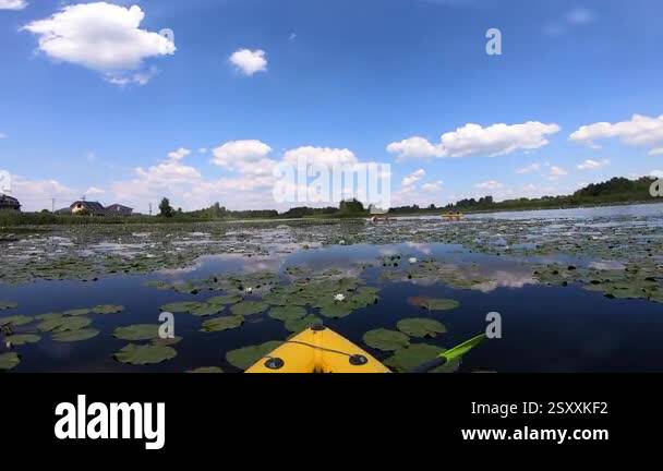 Kayaking along river through growing white lily nymph on sunny summer ...