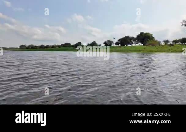 Boot trip on the Jari Canal at Alter do Chao, Santarem District, Para ...