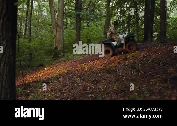 ATV group, forest trail, dynamic ride. Riding ATVs on dirt trail, group ...