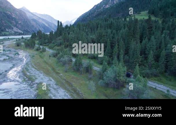The car drives along the river through a green gorge. Tall grass and ...