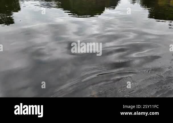 A serene and calm water surface beautifully reflecting the vast sky and ...