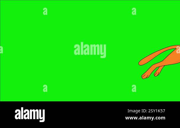 2D animation of a orange cat running across a bright green screen ...