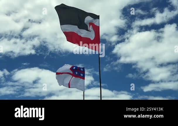 The National Maori flag and United Tribes of New Zealand flag fly ...