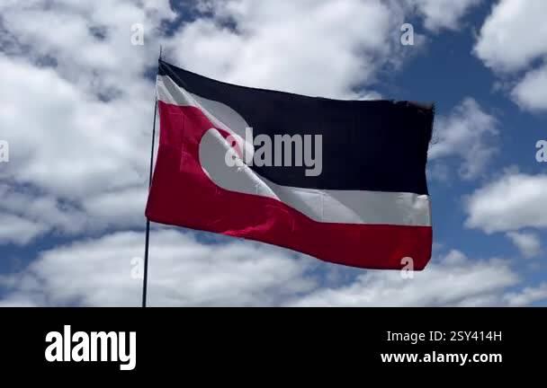 Maori patriotism Stock Videos & Footage - HD and 4K Video Clips - Alamy