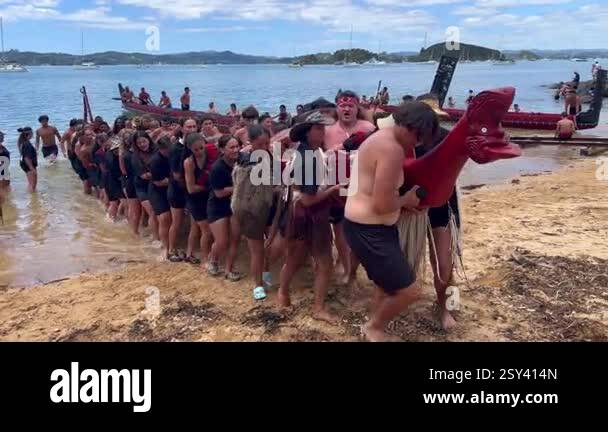 WAITANGI, NZL - FEB 06 2025:Maori female warriors carry a war canoe on ...