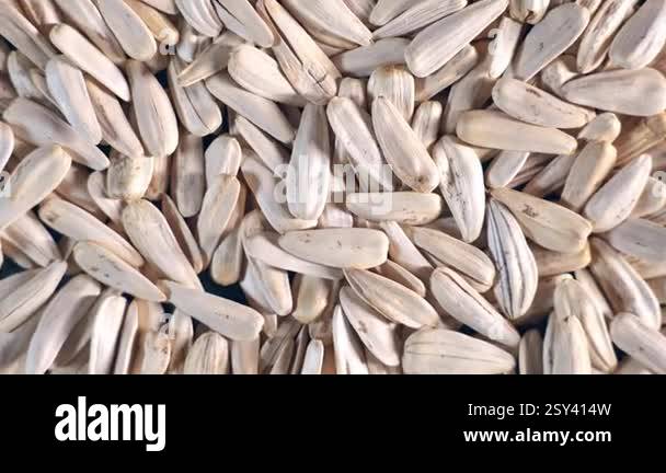 A detailed view of sunflower seeds with elongated beige shells and dark ...