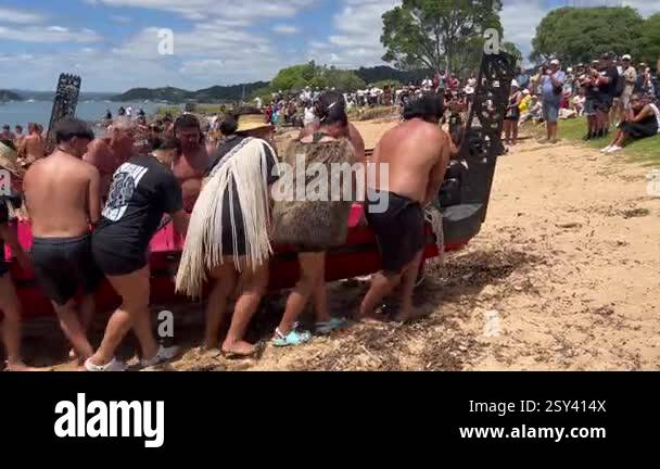 WAITANGI, NZL - FEB 06 2025:Maori female warriors carry a war canoe on ...
