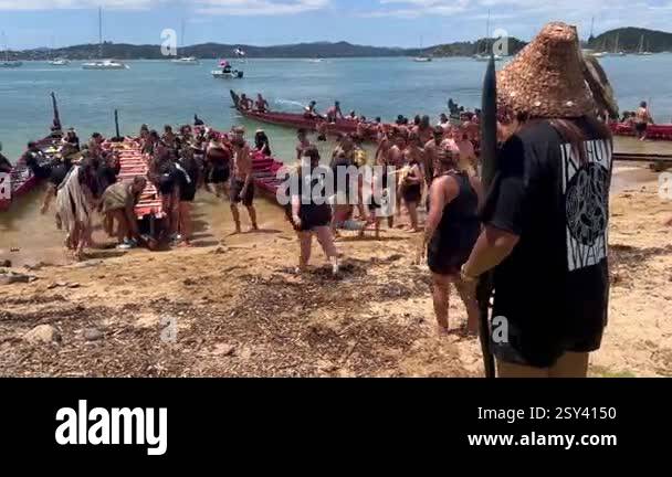 WAITANGI, NZL - FEB 06 2025:Maori female warriors carry a war canoe on ...