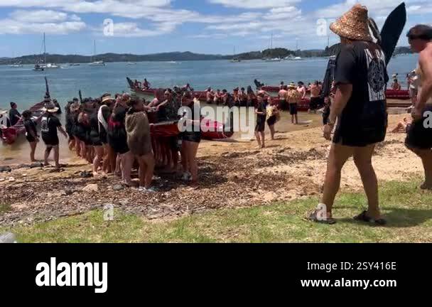 WAITANGI, NZL - FEB 06 2025:Maori female warriors carry a war canoe on ...