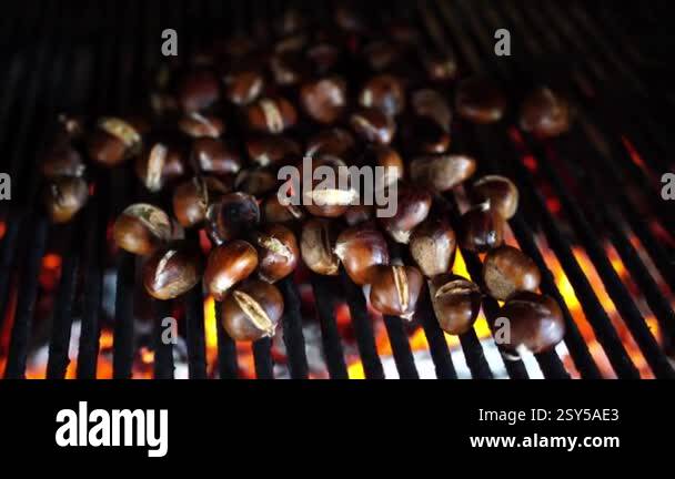Chestnuts with a burst shell are baked on a grill in the oven. High ...