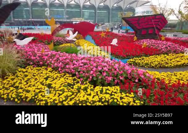Pan to left, colourful flower at the Shanghai Railway Station Stock ...
