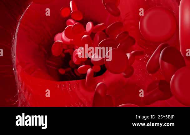 Blood vessels which red objects or molecules move. Animation Seamless ...
