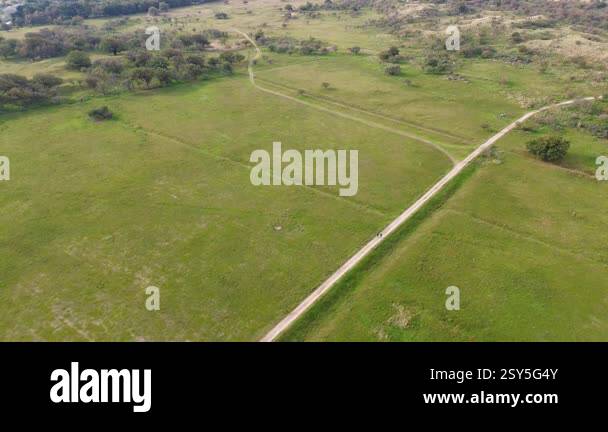 An aerial view of a vast green field with scattered trees, intersected ...