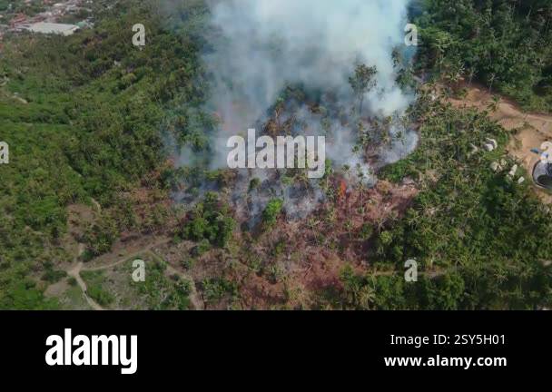 Global impact of tropical forest fires far-reaching consequences of ...
