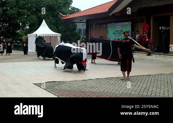 The performance of the bull dance usually called Bantengan. Javanese ...