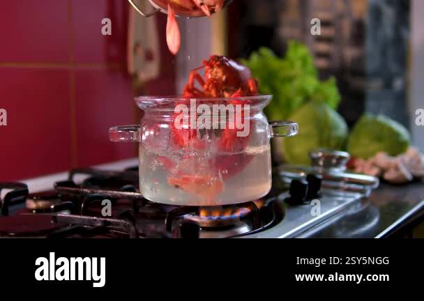 Throw in taken Stock Videos & Footage - HD and 4K Video Clips - Alamy