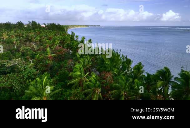 Aerial landscape of tropical palm tree jungle wild beach shore ...