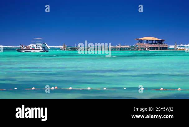 Tourism, summer fun tour to the sea pool adventure dolphin park with ...