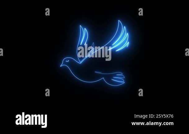 neon dove animated neon pigeon chroma 4k looping Stock Video Footage ...
