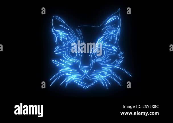 animated neon cat face cat head blue croma 4k looping Stock Video ...
