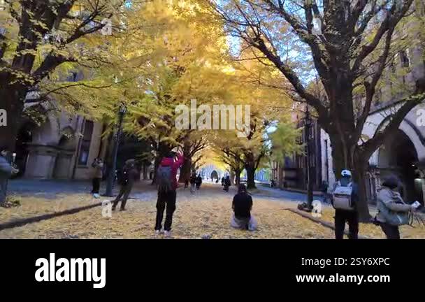 University of Tokyo Japan Prestigious Higher Education Institution, Dec ...