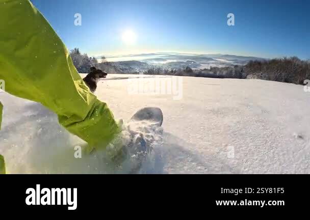 SLOW MOTION, LOW ANGLE, CLOSE UP: Energetic mixed breed dog runs along ...
