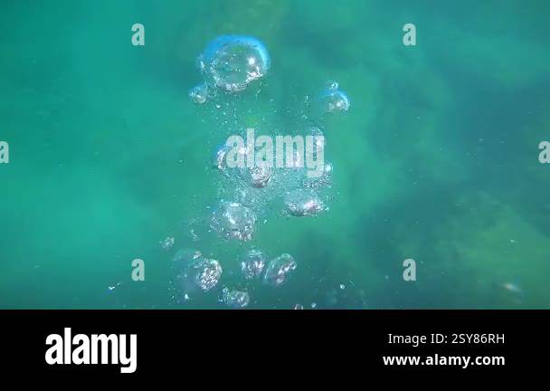 A scuba diver captures underwater footage with an action camera while air bubbles rise toward ...