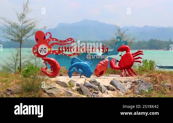 Shell beach sand sculpture Stock Videos & Footage - HD and 4K Video ...