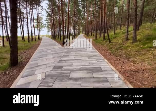 A picturesque scene features two diverging stone pathways that are ...