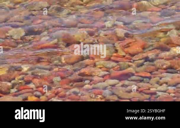 colorful round rocks at the beach lit by sun light through thin layer ...
