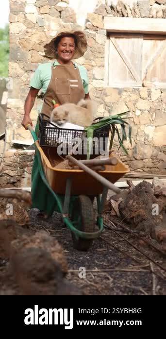 Smiling woman in straw hat and apron joyfully pushes a wheelbarrow ...