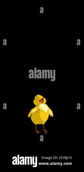Yellow chicken. Handmade 2D animated 4K footage isolated on alpha ...