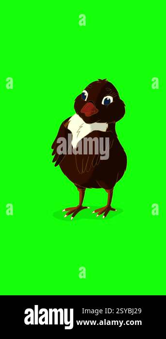 Black chicken. Handmade 2D animated HD footage isolated on green screen ...