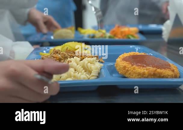 Lunch of pasta salad and cutlets beautifully laid out on a tray Stock ...