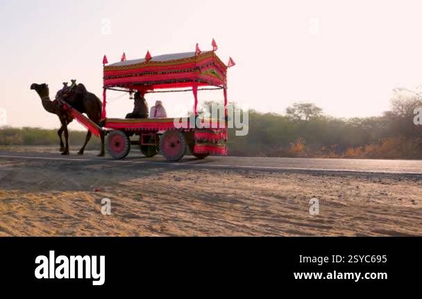 decorated camel cart running at remote tarmac road with bright sunrise ...
