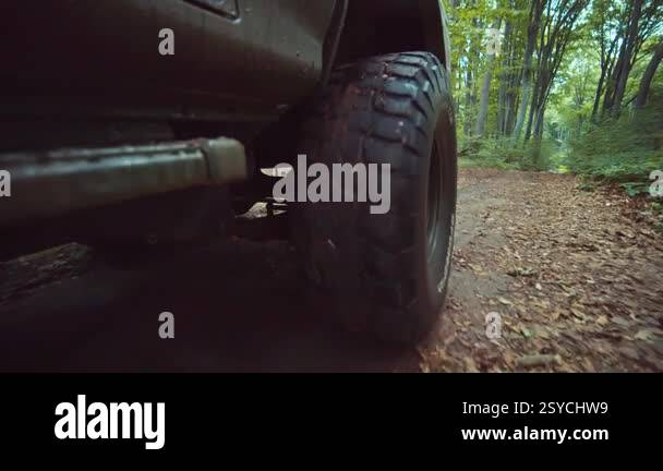 In the forest wheels of cars driving on the trail. Dust in the back ...