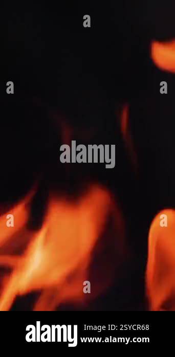 Vivid fire on black background. Red and yellow flame of a campfire ...