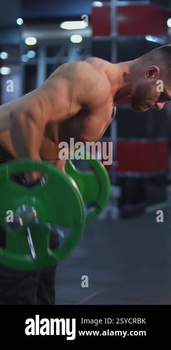 Young sportsman exercising with barbell. Muscular fit training at gym ...