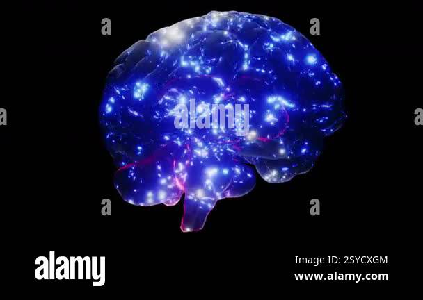 Brain digital animation. Neuron connections. Futuristic medical ...