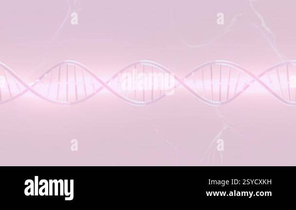 DNA molecule pink color. can be used in education, science or cosmetics ...