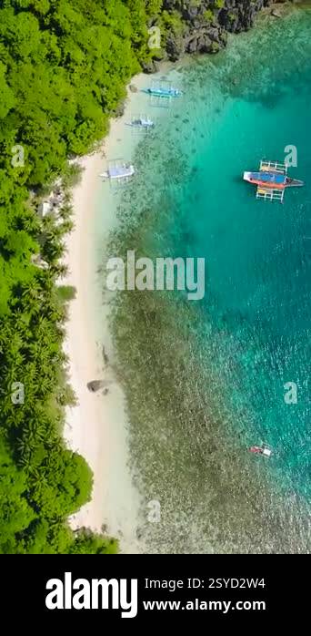 White sand beach and palm trees in Pasandigan Cove. Cadlao Island. El ...