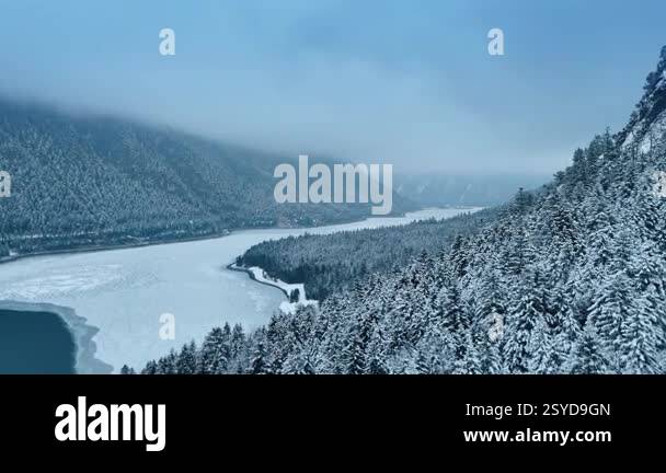 Thick pine tree forests growing on the mountain slopes are covered with ...