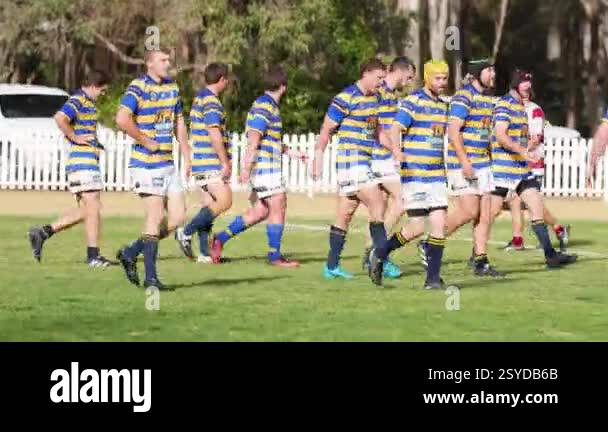 Team in striped uniforms celebrates after a rugby match Stock Video ...